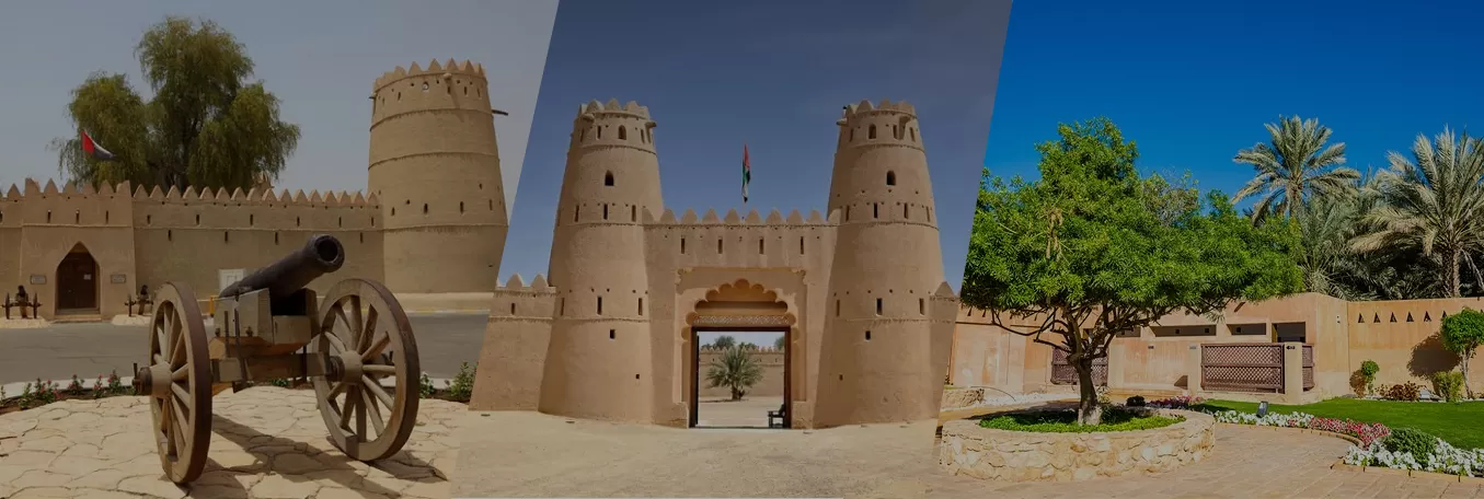 Al Ain City Tour - Explore the Oasis City of the UAE